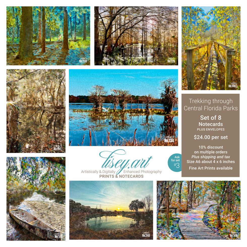 Set 3: Trekking through Central Florida Parks | lisey's Art